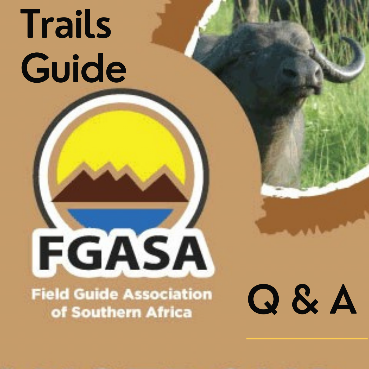FGASA Q & A Sessions with David Batzofin - FGASA