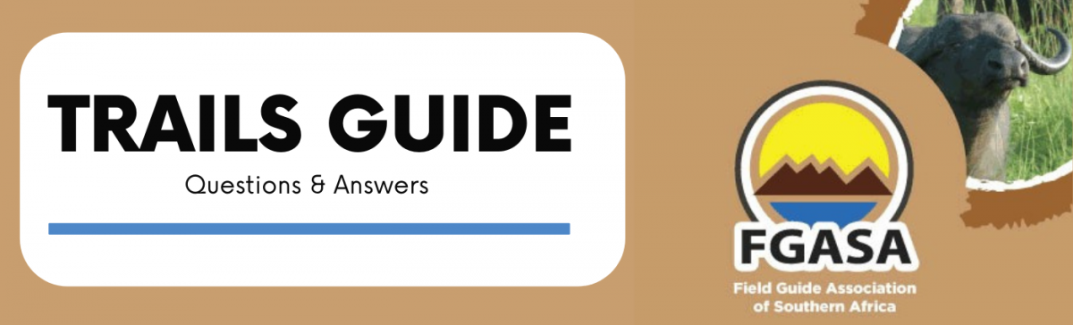 The FGASA Trails Guide Journey – What you need to know – FGASA