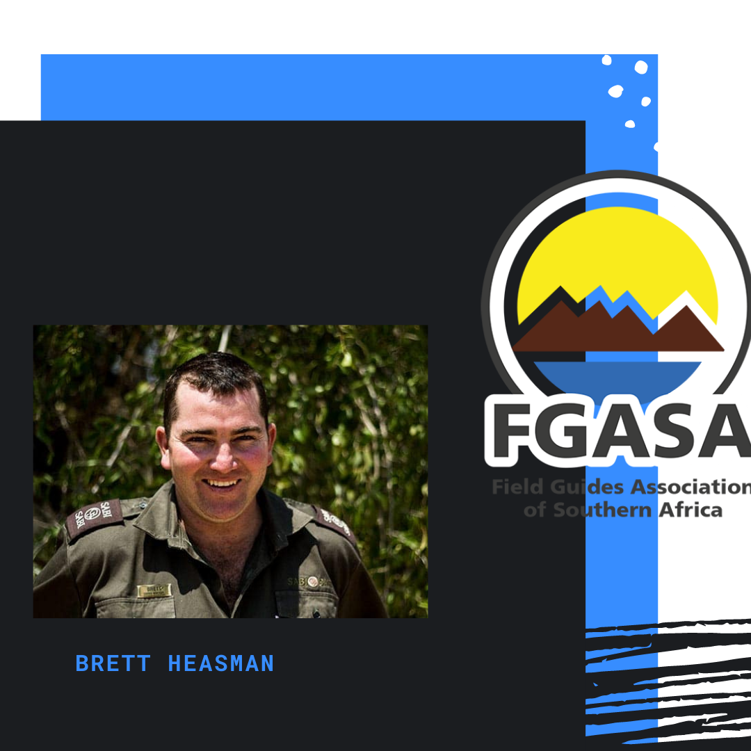 FGASA Executive Committee and Board update – FGASA