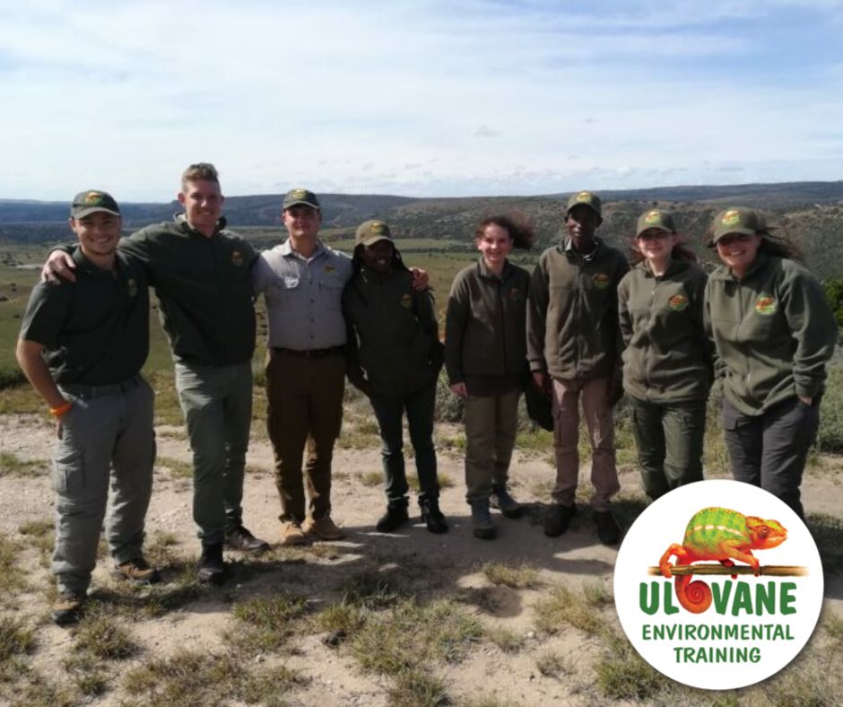Ulovane adapts like the chameleons they are! – FGASA