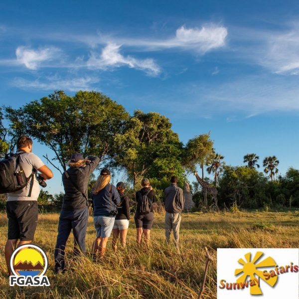 FGASA Jobs and Mentoring – FGASA