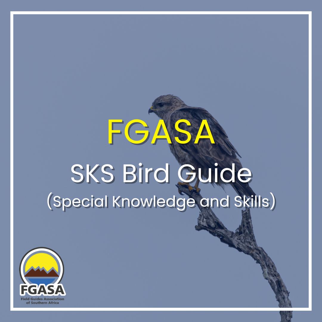 Certifications – FGASA