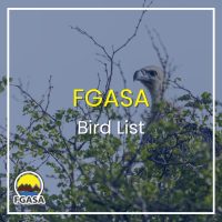 Certifications – FGASA
