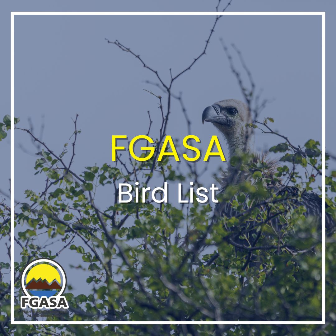 Certifications – FGASA