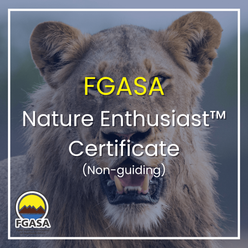 Certifications – FGASA