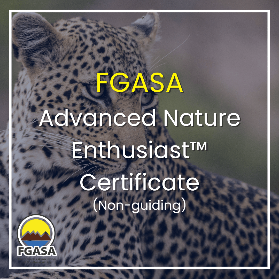 Certifications – FGASA