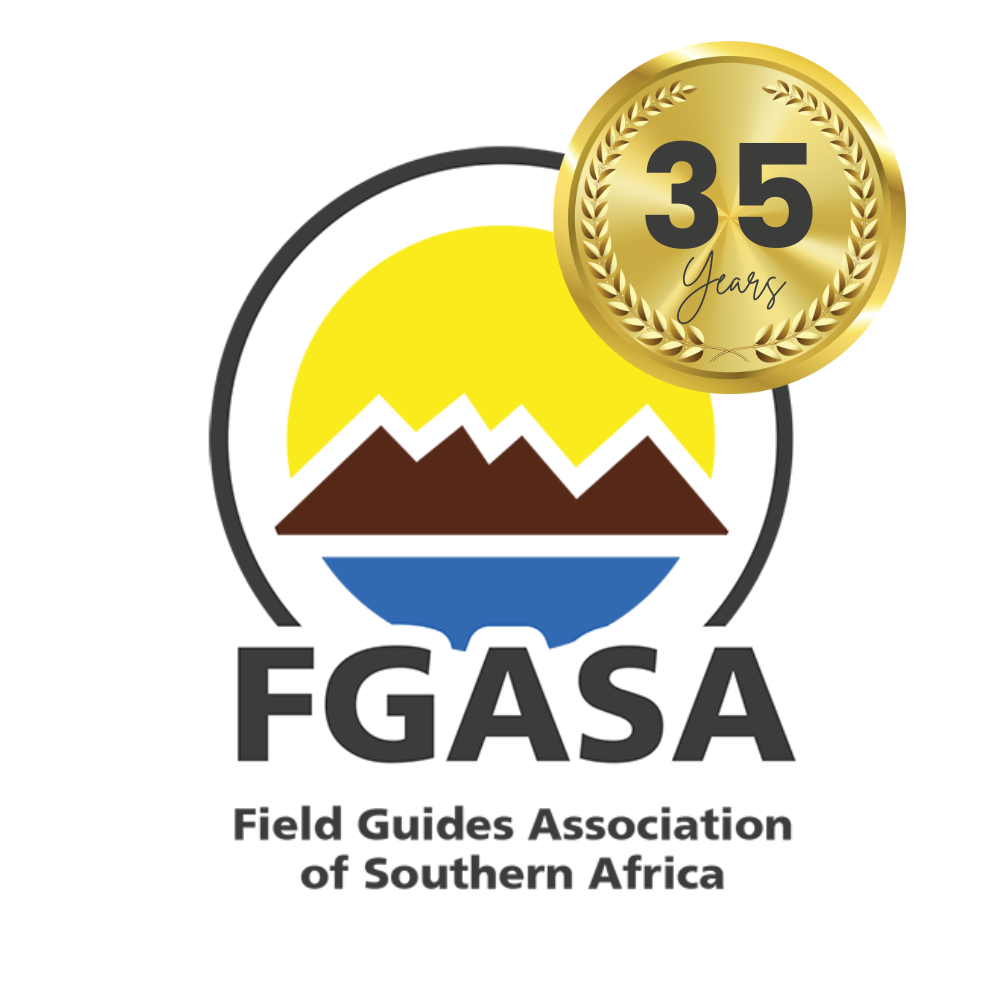 35 Years of FGASA: A Legacy of Guiding Excellence – FGASA