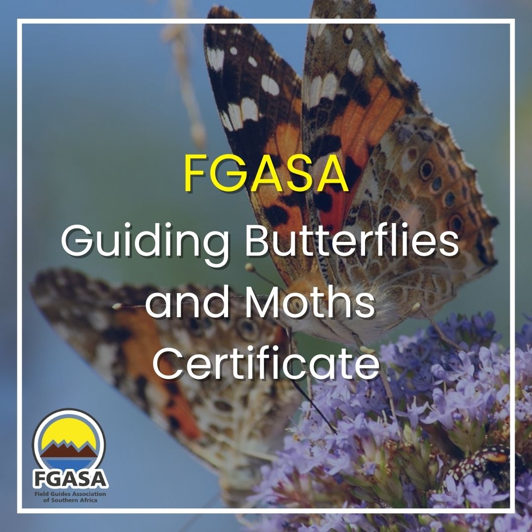 Certifications – FGASA